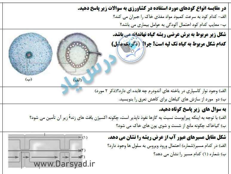 سوالات امتحان نهایی زیست شناسی دهم کشوری خرداد 1402 درس یاد نمونه